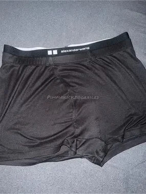 Alexander Wang | Underwear & Socks | Alexander Wang X Uniqlo Mesh Boxer ...
